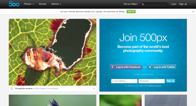 Flickr Vs. 500px