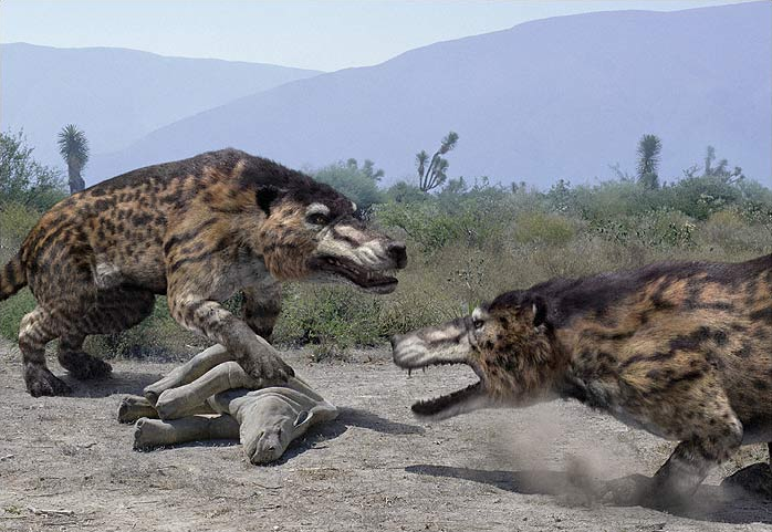 Extinction around the world: Indricotherium and Andrewsarchus
