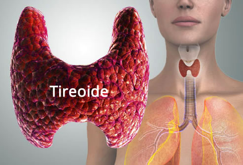 PREVENIR HIPOTIREOIDISMO SUBCLINICO - Dr. João Santos Caio Jr. et Dra ...