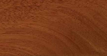 Productos Maderables de Cuale: Madera Caoba