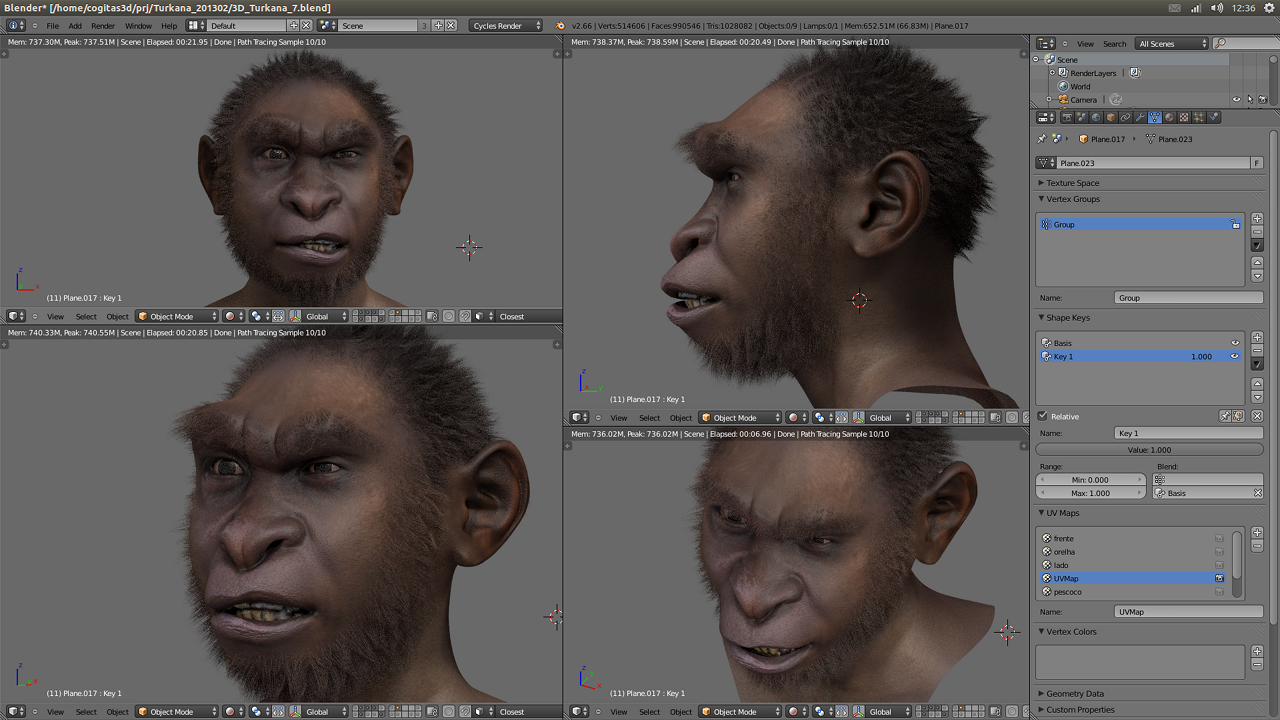 ATOR: Turkana boy - forensic facial reconstruction rendered in Cycles