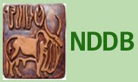 National Dairy Development Board (NDDB) Recruitment for Assistant ...