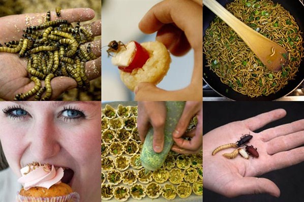Igreja Batista Aeroporto Mossoró RN: Comer Insetos