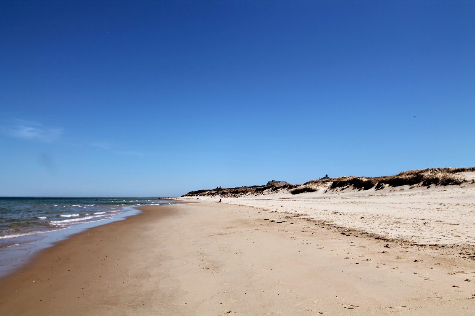 mitcheci photos: Cape Cod: Cold Storage Beach