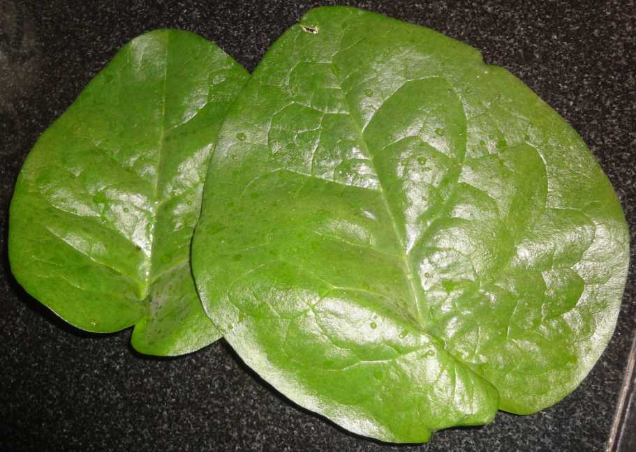 Culinary Creations: September 2013