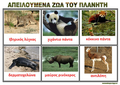 ΟΙ ΦΙΛΟΙ ΜΑΣ ΤΑ ΖΩΑ: ΑΠΕΙΛΟΥΜΕΝΑ ΖΩΑ