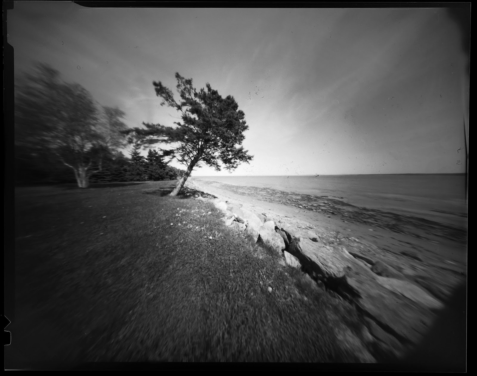 The PhotoSmith: 4x5 Pinhole Photography