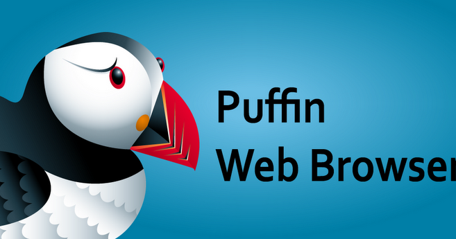 Puffin Browser Is Now Available In Beta For Windows - AndroGuider | One ...
