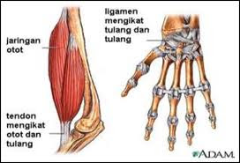 Dunia Informasi: Fakta Membunyikan Sendi Jari Tangan