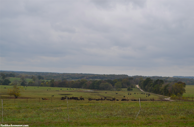 American Farming: Then and Now - Flashback Summer