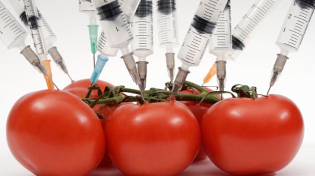 Food Defense- Plan Defensa Alimentaria