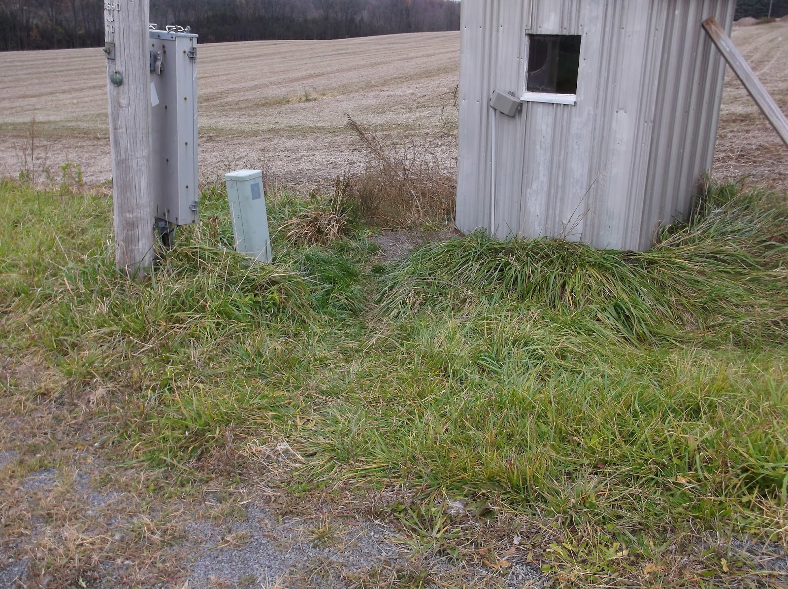 New York State of Mind: AMISH PHONE SHANTY AND MILLER'S CLOSED STAND
