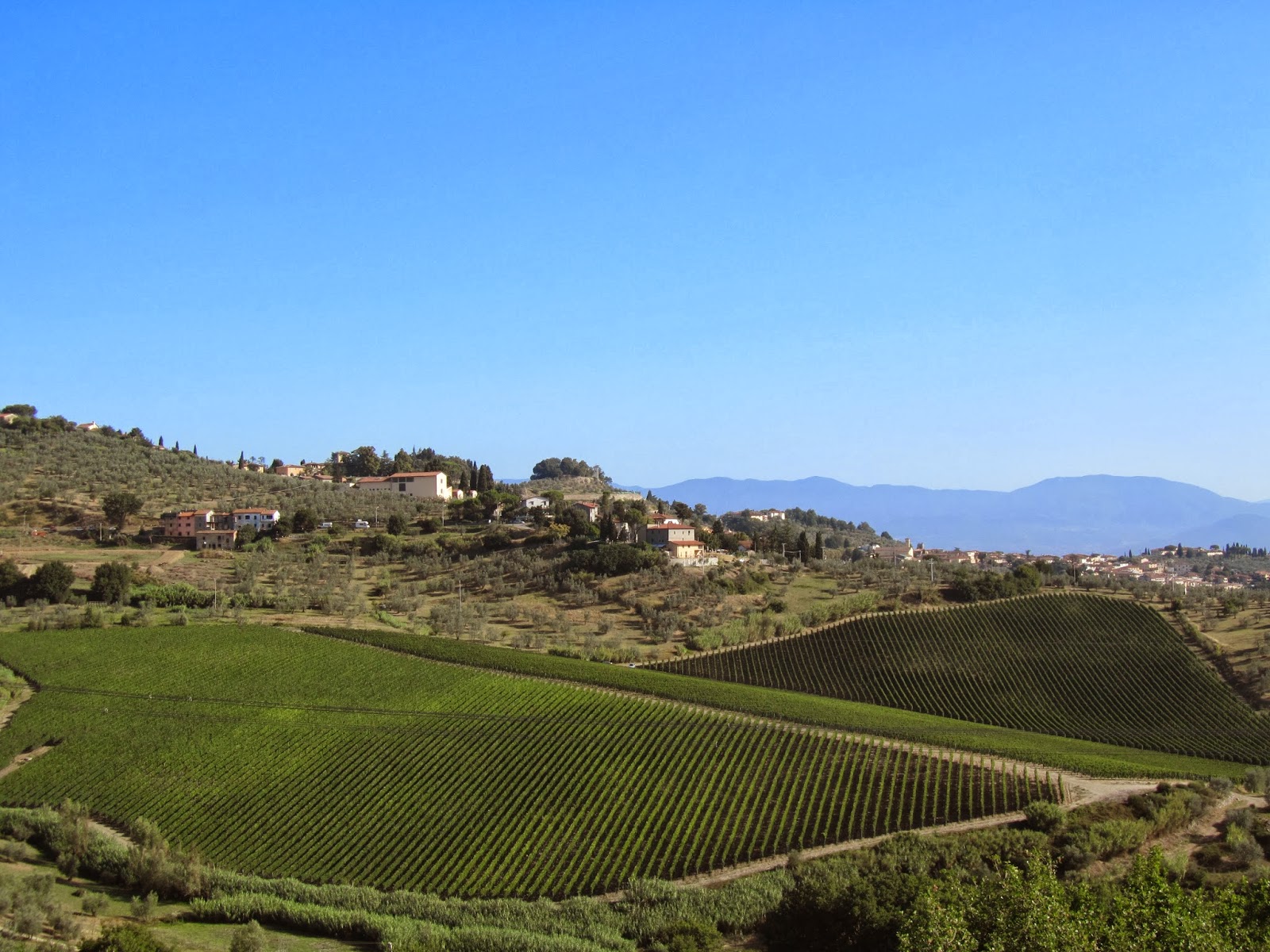 Singularly Piaggia - John Fodera's Tuscan Vines