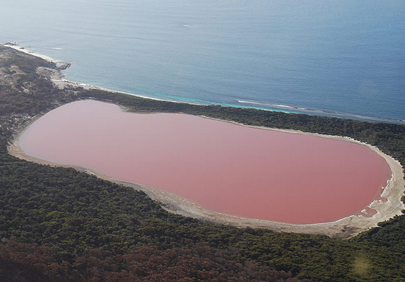 Superbacán: El lago Hiller, en el oeste de Australia, es famoso por sus ...