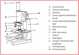 Alat Kesehatan Indonesia: Mengenal Lebih Jauh Tentang Mikroskop