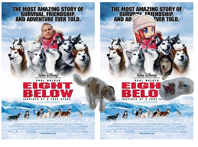 Okee & I: Movie Synopsis: Eight Below
