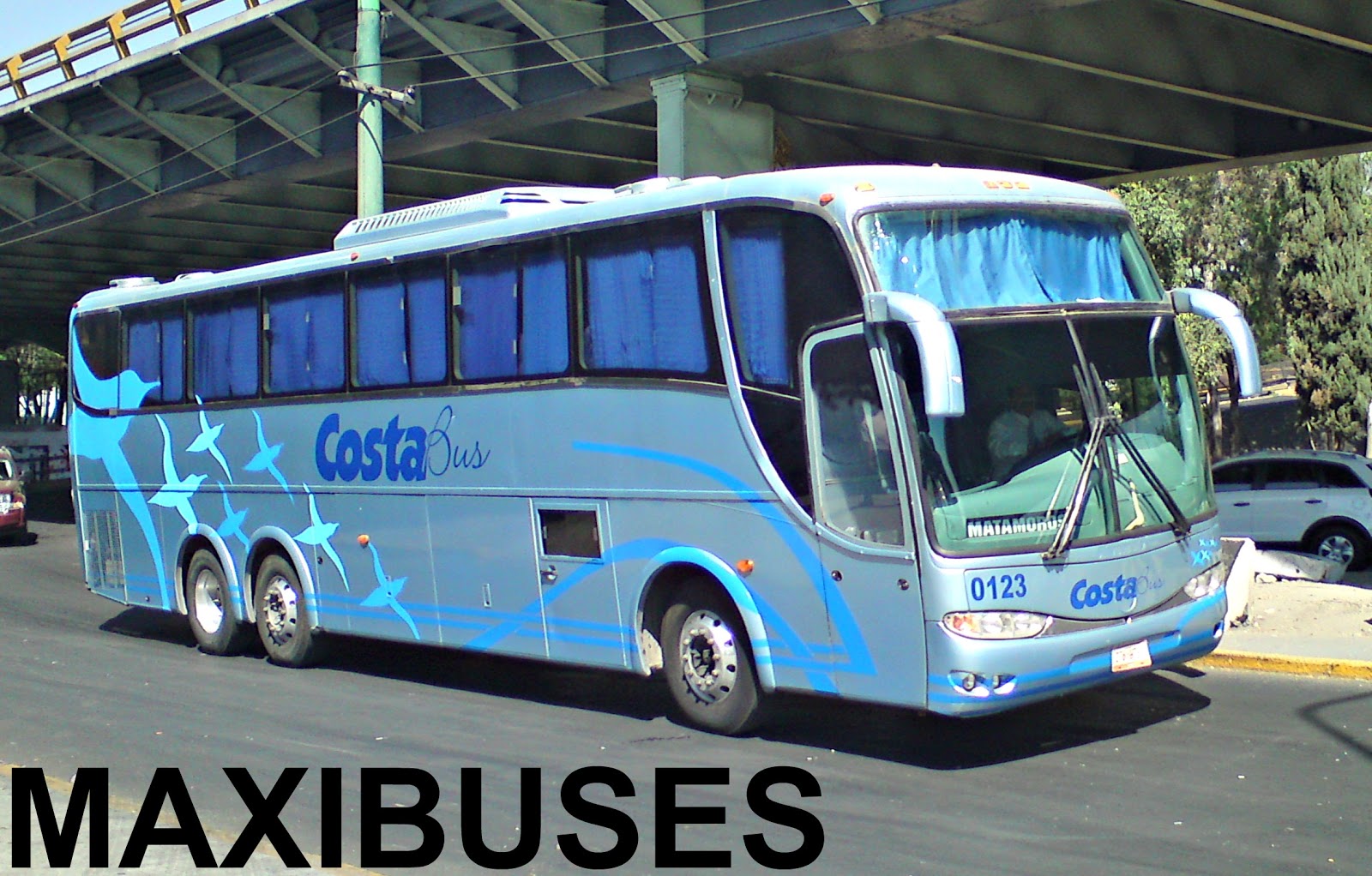 MAXIBUSES: ESPECIAL DEL RECUERDO - COSTA BUS