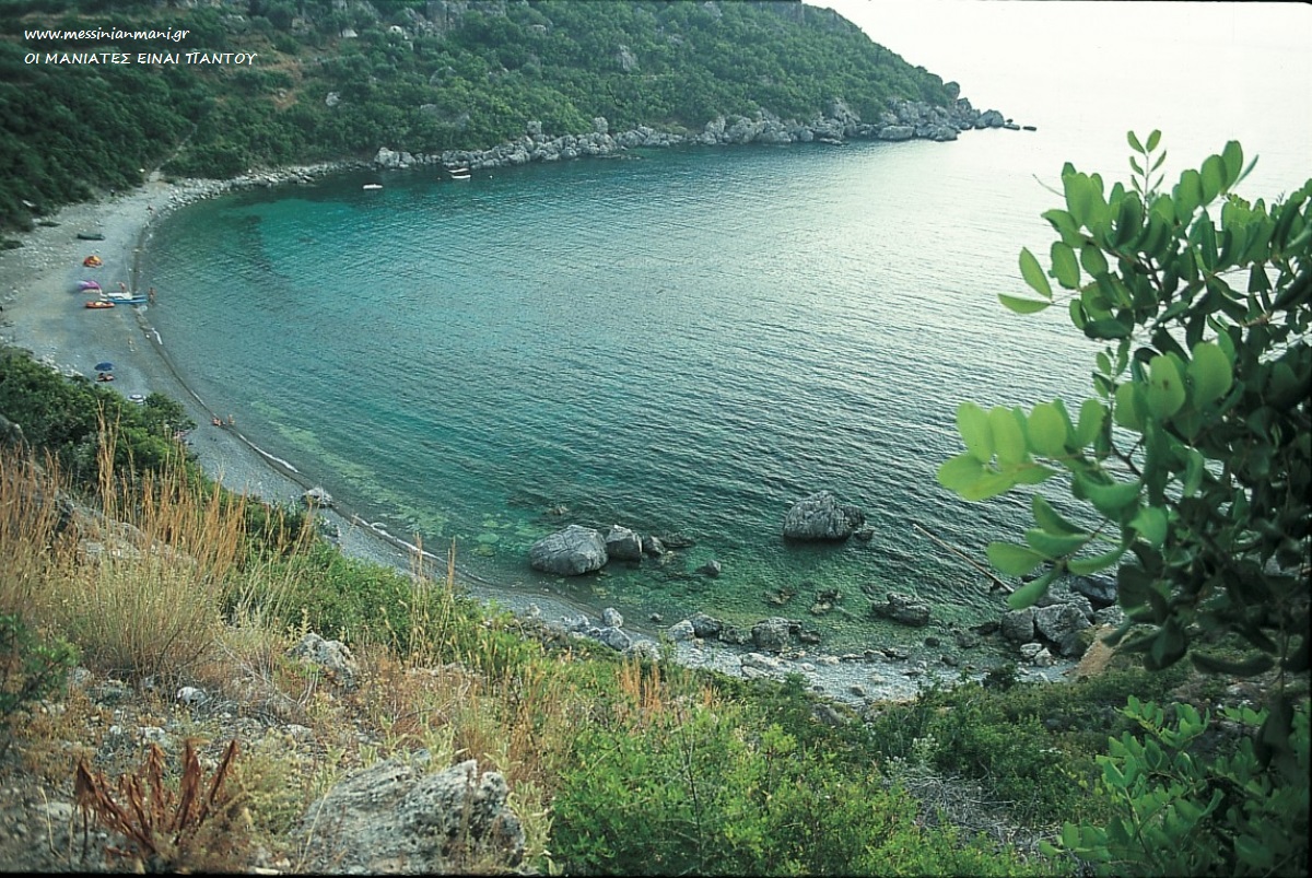 ΟΙ ΜΑΝΙΑΤΕΣ ΕΙΝΑΙ ΠΑΝΤΟΥ : ΚΑΡΔΑΜΥΛΗ