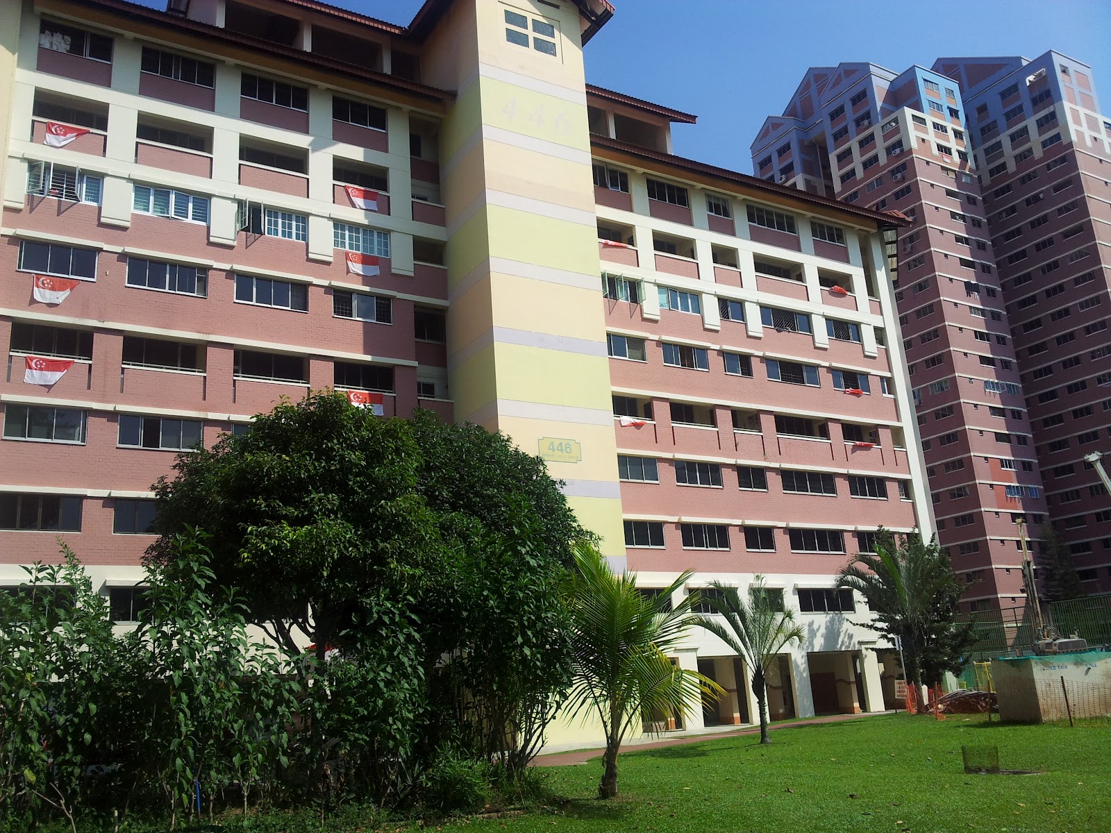 Tan Kin Lian's Blog: Singapore Flags at Sin Ming HDB estate