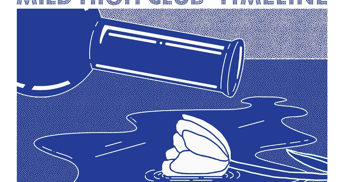 Mild High Club ♦ Timeline