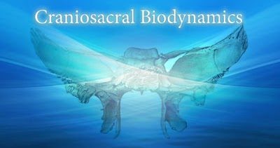 What is biodynamic Craniosacral therapy?
