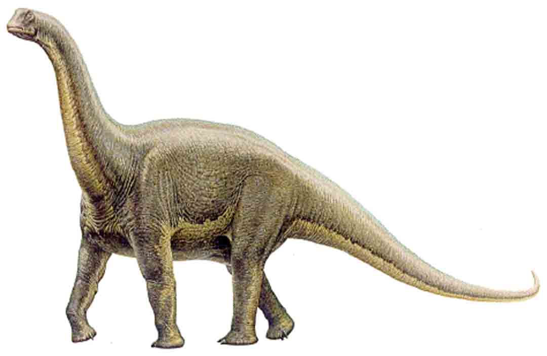 EL LIBRO DE LOS DINOSAURIOS: Alamosaurus