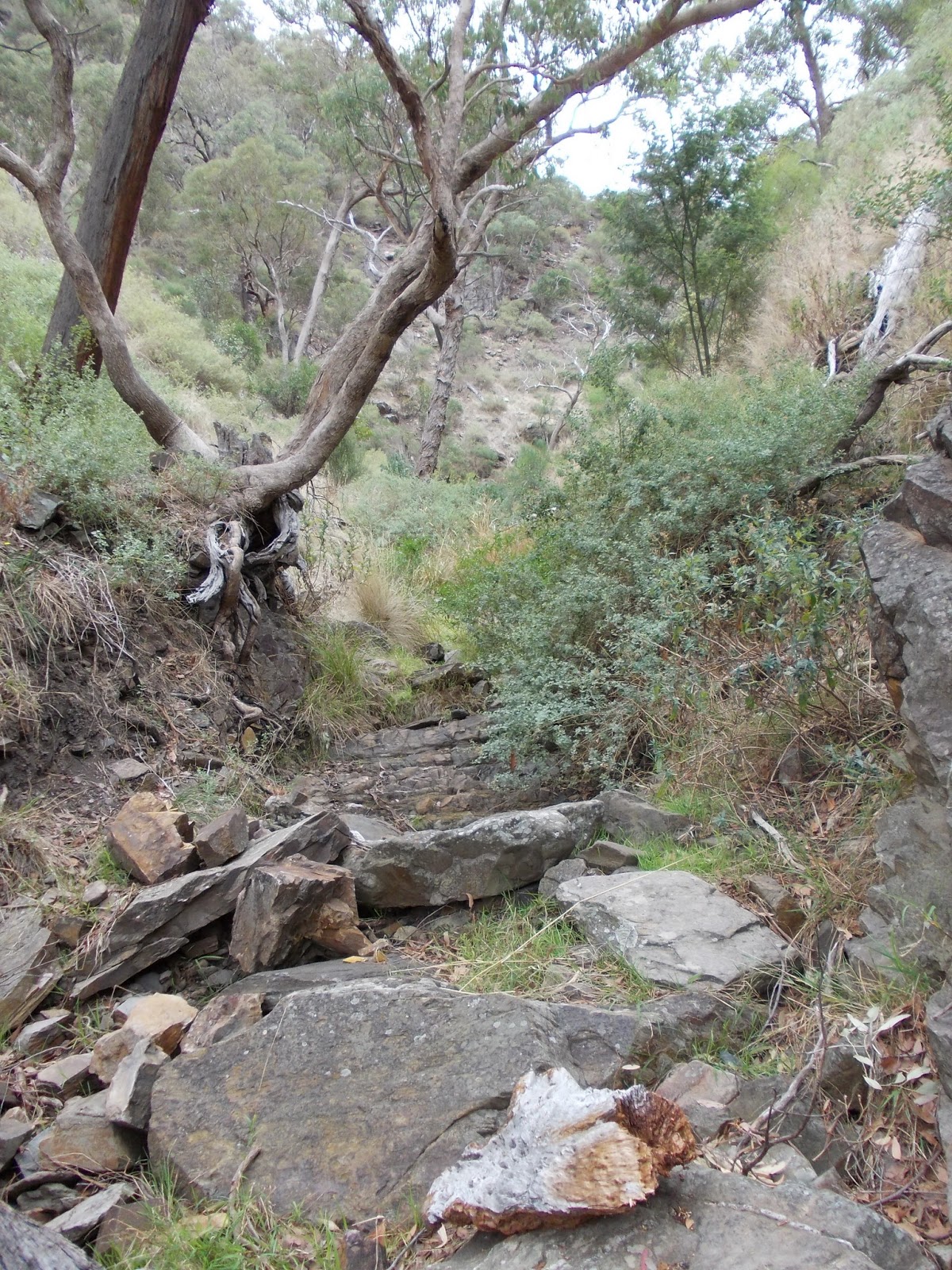Dzung Nguyen's Blog: Ironbark Gorge Circuit Walk