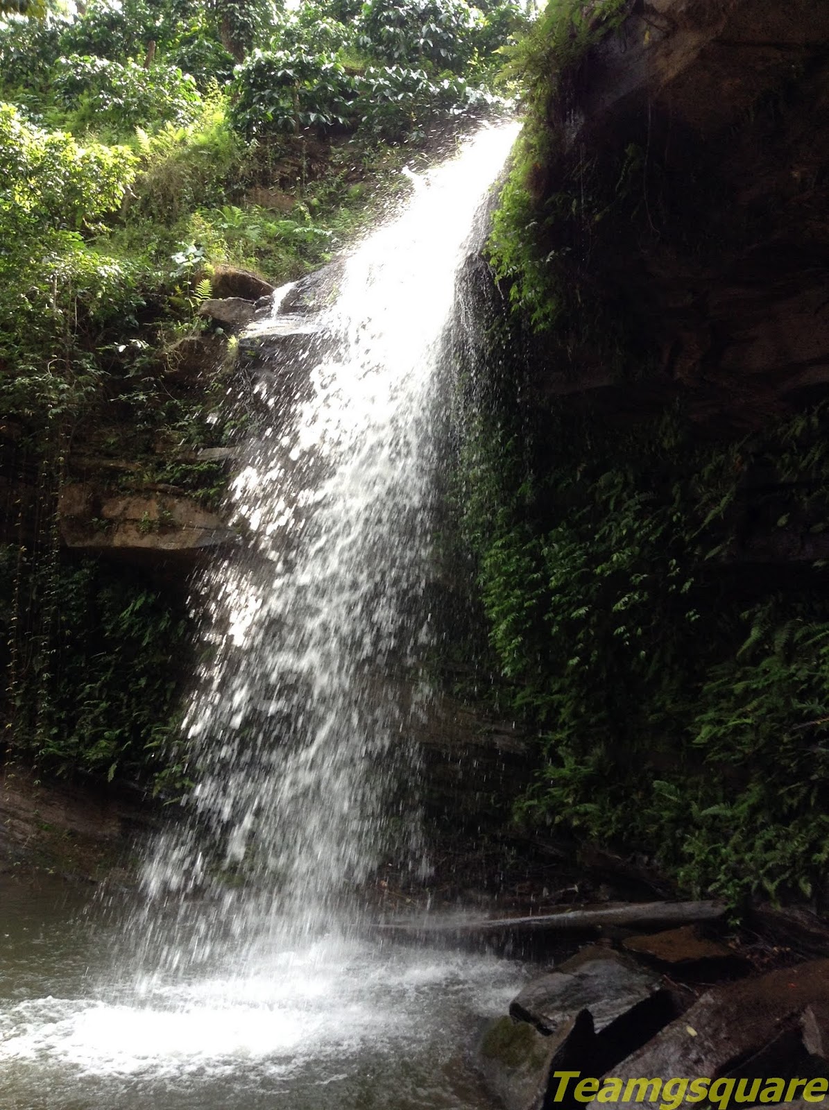 Team G Square: Sooramane Abbi Waterfalls, Chikmagalur