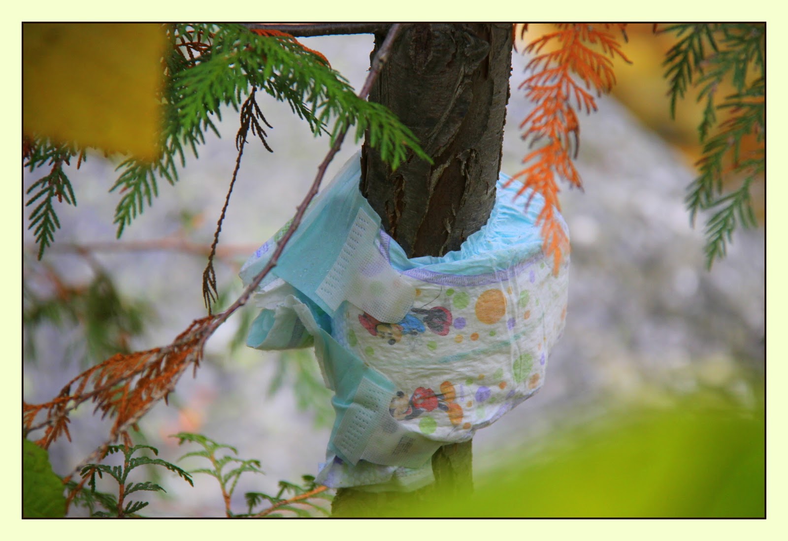 Slight Detour: Diaper-Tree Landing on the Pack, Et. Al.