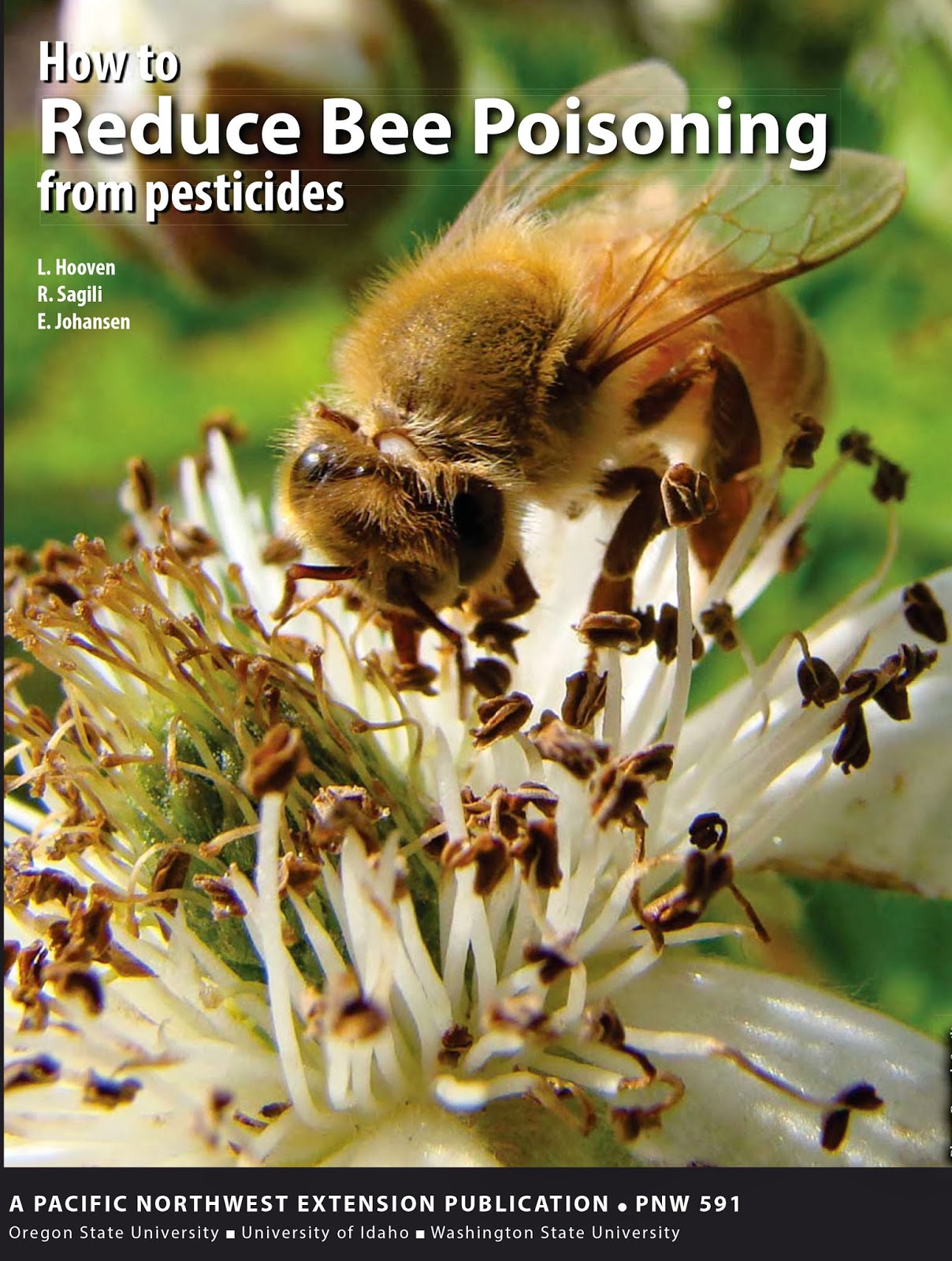 IPM West: While the Issue of Protecting Bees Goes to Court, Learn How ...