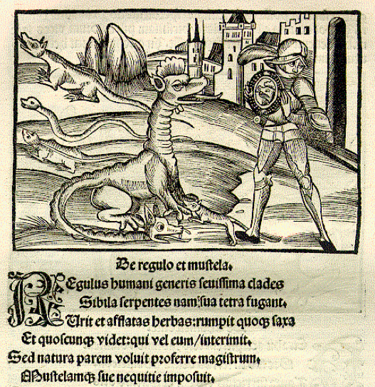 Coursera Fantasy: Mirror Myths: Medusa and Basilisk