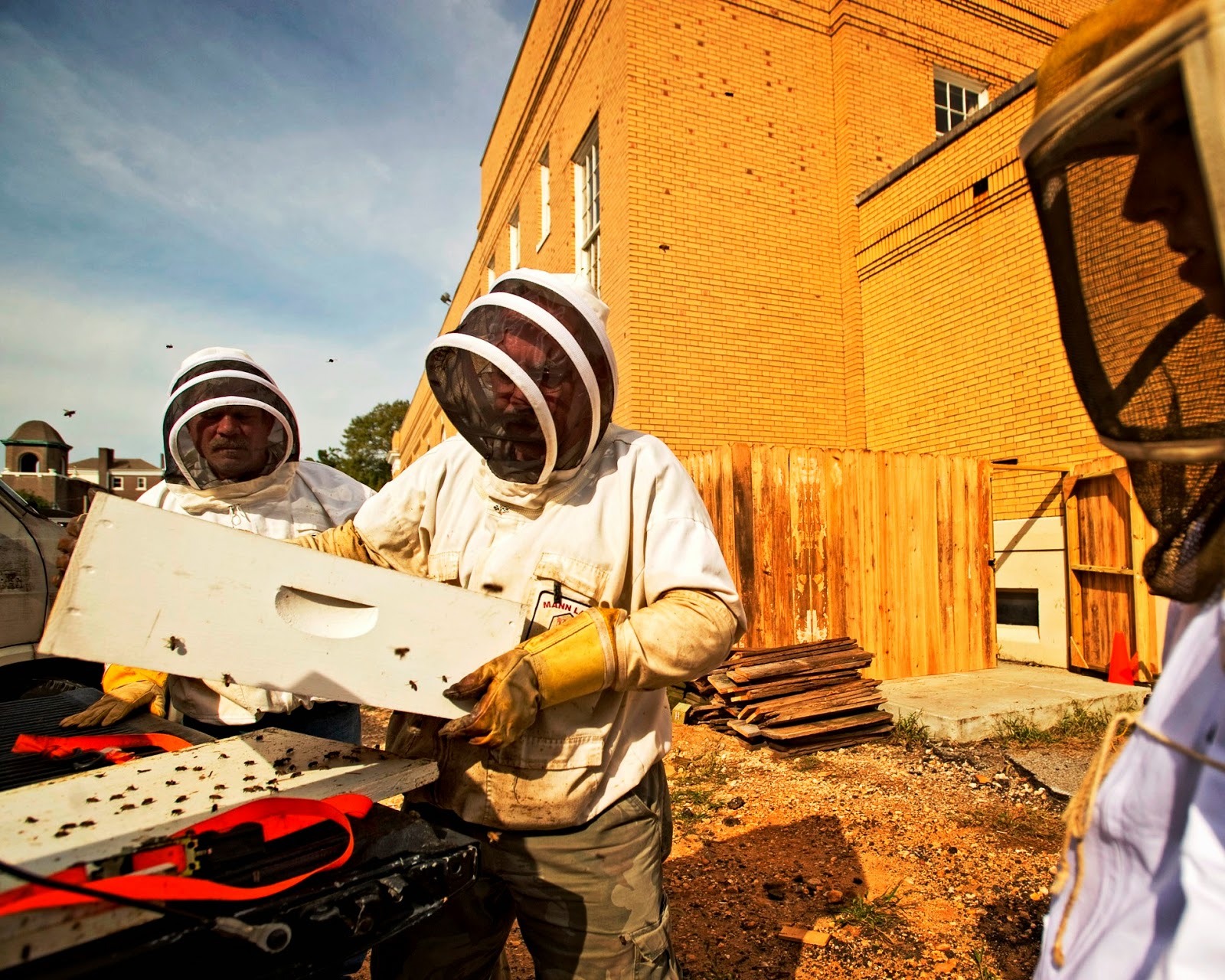 The Peace Bee Farmer: Urban Beekeeping
