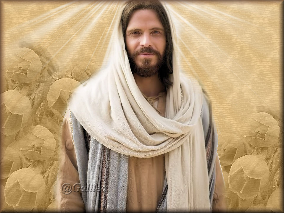 Corazón de Jesús en Vos Confío: Jesucristo, Palabra del Padre,