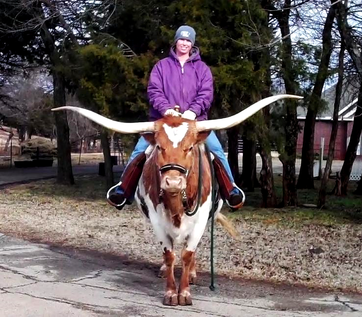 Feathers and Flowers: Bigger in Texas