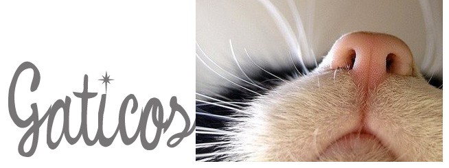 Anita Patata Frita: agosto 2012