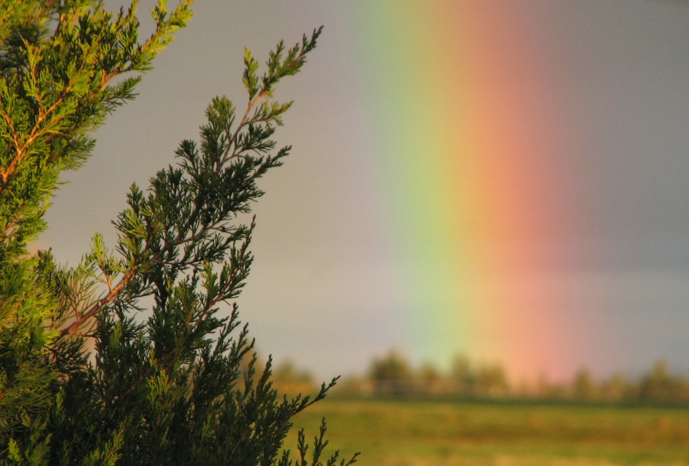 Father Julian's Blog: The Rainbow