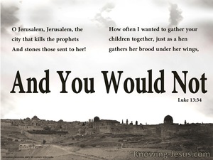 lectionarypondering: Luke 13:31-35