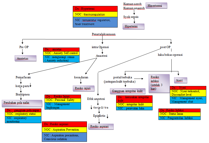 Pathway Apendiksitis
