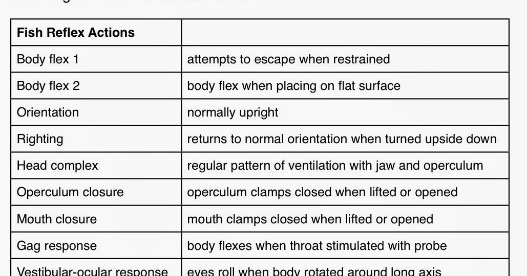 Vitality: heuristic assessing impairment and predicting survival and ...