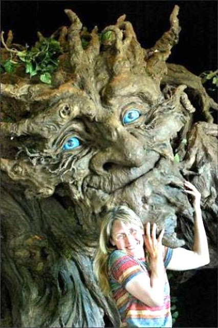 Every Day Is Special: June 23 – Anniversary of the Completion of a Tree ...