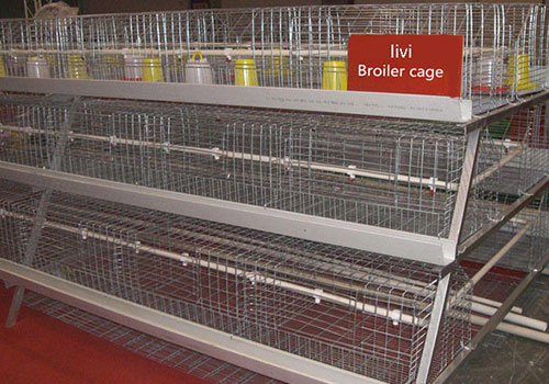 What You Should Know About Buying A Broiler Cage System