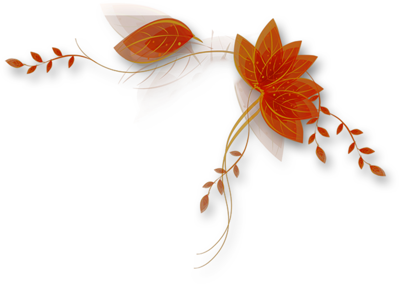 Top 20 Best Hd Graphic Designe PNG Free Download - True Love Wishes