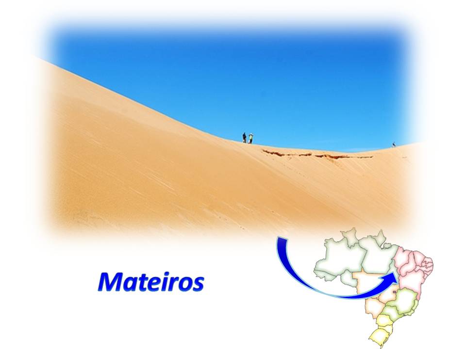 Estradas e caminhos: Mateiros, o deserto brasileiro