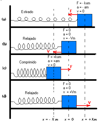MOVIMIENTO ARMÓNICO SIMPLE : Movimiento Armónico Simple
