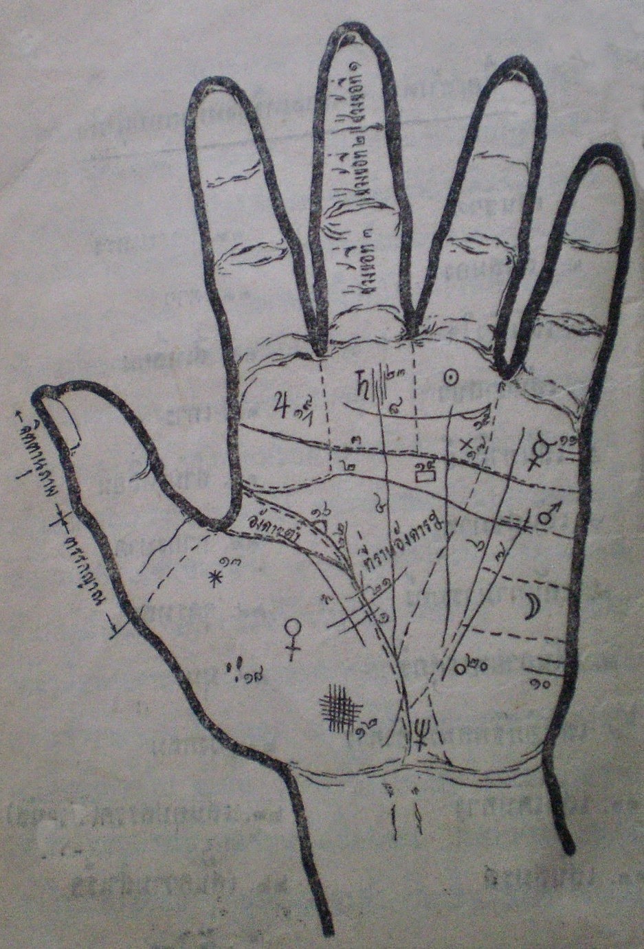 Hand Prediction ทำนายลายมือ: เส้นและเครื่องหมายบนฝ่ามือ