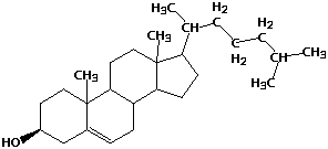 Jurpolukki: Kovatrasvat ja kolesteroli ystävämme