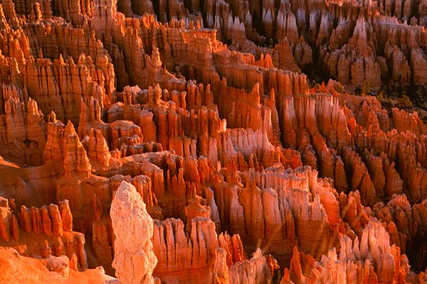 carola bARTz: Places of my Heart: Bryce Canyon National Park