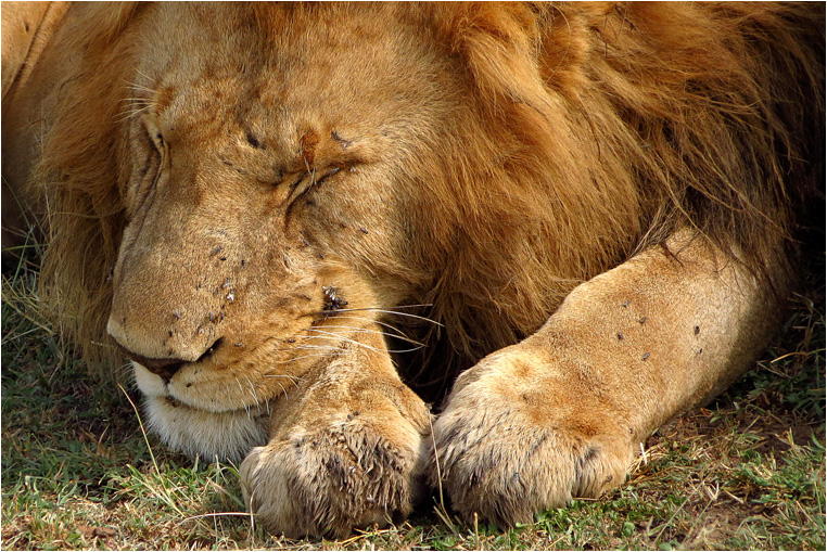 The Best Photos of the Day: April 3, 2013