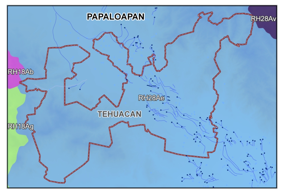 Tehuacán Lugar de Dioses: El Agua en Tehuacán