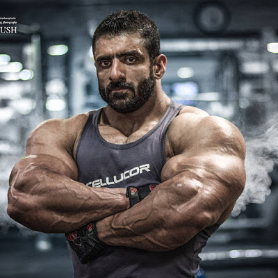world bodybuilders pictures: iranian bodybuilder Hadi Choopan
